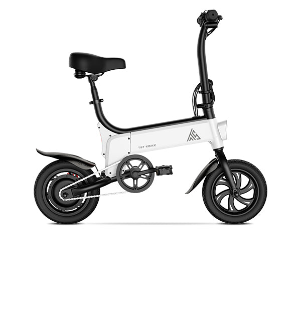 TSTescooter Manual